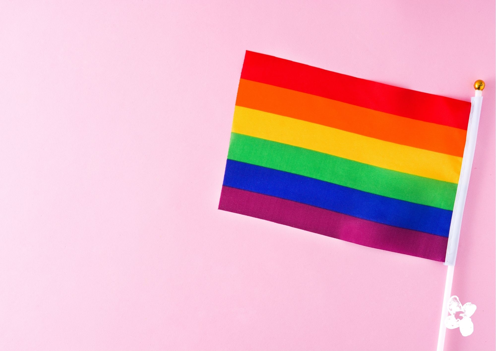 Pride-Flaggen: Was bedeuten sie? - REVIERKind