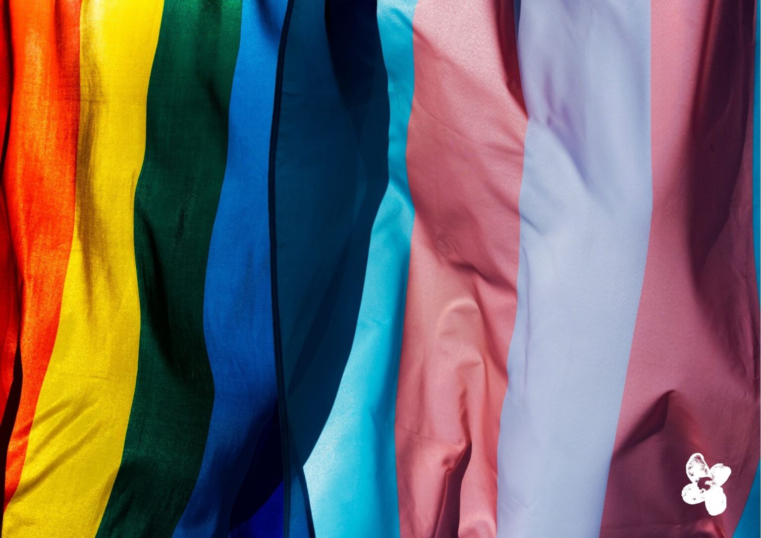 Pride-Flaggen: Was bedeuten sie? - REVIERKind
